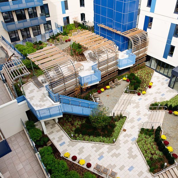The Langan Leader: Rooftop Renaissance | Langan